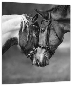 Obraz - Zamilovaní koni, černobílá (30x30 cm)