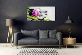 Obraz na skle Bambus Květ Kameny Umění 120x60 cm
