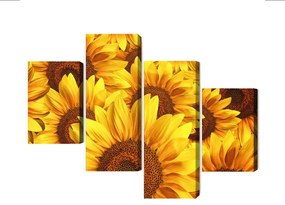 Vícedílný obraz 3D Květy Slunečnice Nedostatek Nedostatek Plátno Canvas 120x75