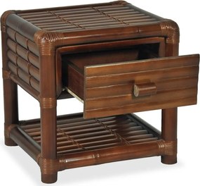 vidaXL Noční stolek 45 x 45 x 40 cm bambus tmavě hnědý [244610] Barva: tmavě hnědá