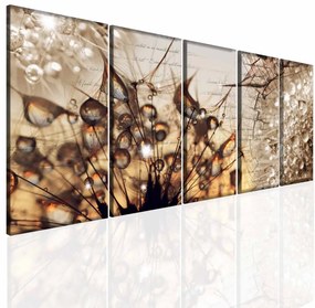 Vícedílný obraz pampeliška Brown Velikost (šířka x výška): 150x70 cm