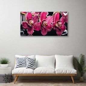 Obraz na plátně Květiny Orchideje  Výhonky Příroda 140x70 cm