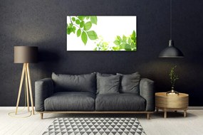Obraz na skle Plátky Rostlina Příroda 100x50 cm