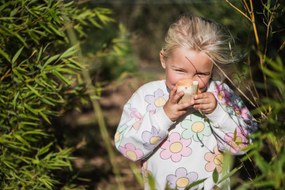 Dětské vysílačky Zoo Walkie Talkie - liška - liška