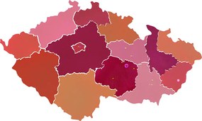 Vylen Barevná pěnová mapa ČR nástěnka  2150x1200mm