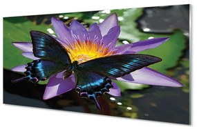Obraz na skle motýl květina 140x70 cm