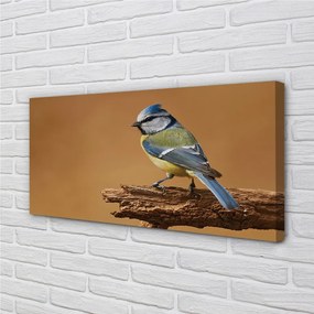 Obrazy na plátně Pták 120x60 cm