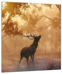 Obraz jelena v říji (30x30 cm)