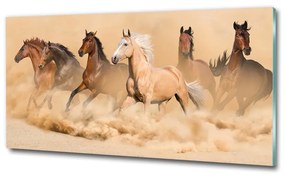 Wallmuralia Foto obraz skleněný horizontální Koně poušť 100x50
