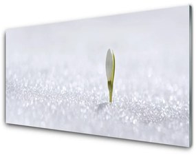 Obraz na skle Sněženka Sníh Zima 120x60 cm