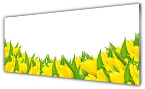 Plexisklo-obraz Květiny Příroda Tulipány 125x50 cm