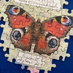 GIBSONS Puzzle Nádherní motýlci / 1000 dílků / 68 × 49 cm