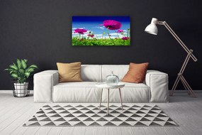 Obraz na plátně Louka Květiny Nebe Příroda 100x50 cm
