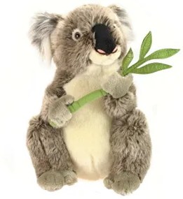 Plyšová koala 30 cm
