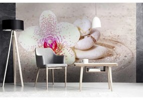 DIMEX | Vliesové fototapety na zeď Relaxační písek MS-5-0119 | 375 x 250 cm| krémová, růžová, béžová