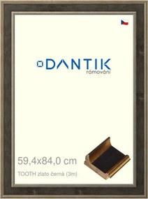 DANTIK rámeček 59,4x84 | TOOTH zlato černá (Plexi Čiré)