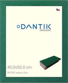 DANTIK rámeček 40x50 | RETRO zelená (Plexi Čiré)