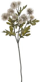 echinops 57 cm - krémová