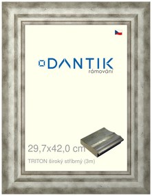 DANTIK rámeček 29,7x42 | TRITON široký stříbrný (Plexi Čiré)