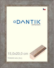 DANTIK rámeček 15x20 | TOMAS bílá (Sklo Čiré)