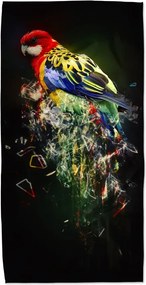 Sablio Ručník Barevný papoušek - 50x100 cm