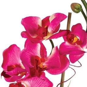 Růžová orchidej v skleněné váze, domácí dekorace, výška 37 cm