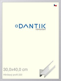 DANTIK rámeček 30x40 | ALU profil 6220 Bílá matná (Plexi Čiré)
