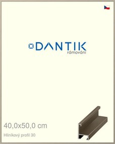 DANTIK rámeček 40x50 | ALU profil 6030 champagne (Plexi Čiré)