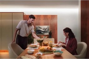 Philips - LED RGBW Stmívatelný pásek Hue FLUX 5m LED/48W/230V 2200-6500K