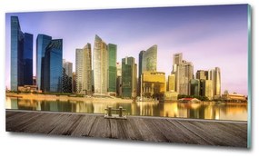 Wallmuralia Fotoobraz na skle Singapur 100x50