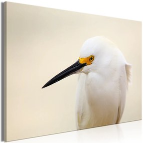 Obraz - Snowy Egret (1 Part) Wide