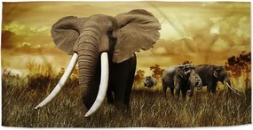 Sablio Ručník Slon Africký - 50x100 cm