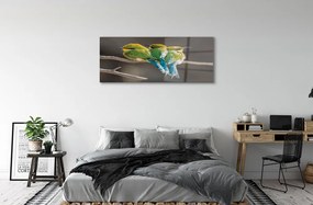 akrylový obraz Ptáci na větvi 120x60 cm
