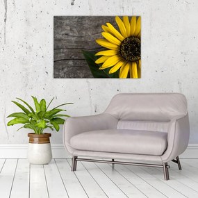 Skleněný obraz - Květ slunečnice (70x50 cm)