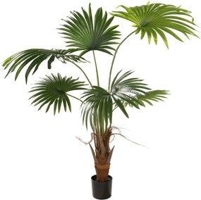 Vějířová palma v květináči 110 cm