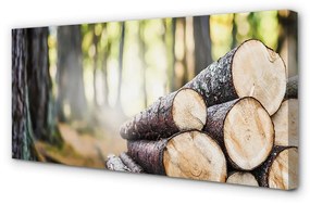 Obrazy na plátně Dříví prales přírodě 140x70 cm