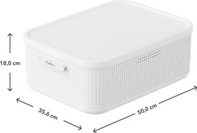 Rotho Úložný box do skříně s víkem a přihrádkou na levanduli, šatní organizér LISORA - M, 50  × 35,6 × 18 cm