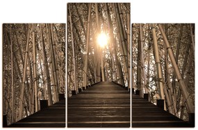 Obraz na plátně - Dřevěná promenáda v bambusovém lese 1172FD (135x90 cm)