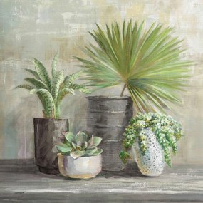 XXXLutz MALBA NA PLÁTNĚ, zátiší, květiny, 55/55 cm Euroart - Obrazy na plátně - 0057211689