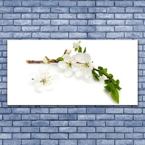 akrylový obraz Květ Větev Příroda 120x60 cm