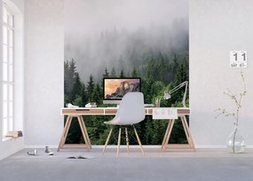 Vliesová fototapeta na zed' Les v Ranní Mlze | 225 x 270 cm | DFT3P5901