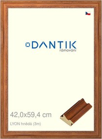 DANTIK rámeček 42x59,4 | LYON hnědá (Plexi Čiré)