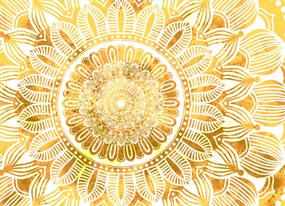 Malvis ® Tapeta mandala slunce Vel. (šířka x výška): 504 x 310 cm