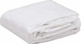 Náhradní plachta na skleník (36 m²) 3 x 12 x 2 m průhledná 316439