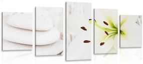 5-dílný obraz lilie a masážní kameny v bílém provedení - 100x50 cm