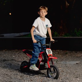 AIYAPLAY dětská elektrická motorka 24V s motorem 250W rychlost 6-16 km/h kola Ø30,48 cm pro děti 8-12 let červená