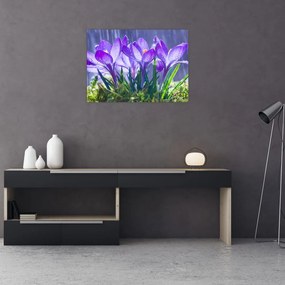 Obraz květin v dešti (70x50 cm)