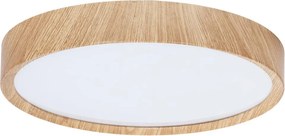 BRILAGI - LED Stropní svítidlo NATURA LED/20W/230V 4000K pr. 33,7 cm