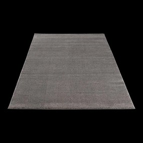 Eltap Koberec Verlice Grey Rozměr (cm): 80 x 150