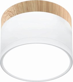 Stropní spot Candellux Tuba 1x vestavěný Led 2273648